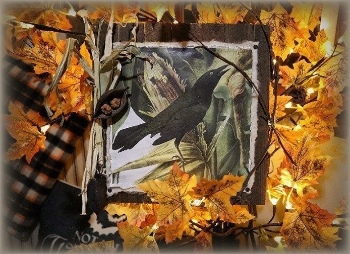 Crow in Cornfield Picture – Fanatic's Country Attic